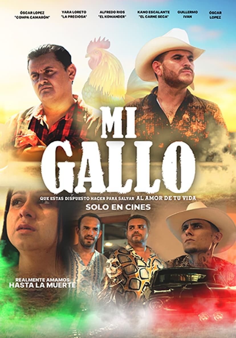 Mi Gallo