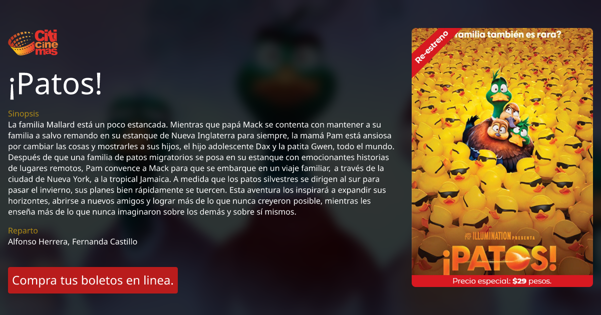¡Patos!